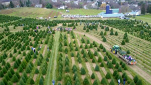 About Us - Yeagers Farm